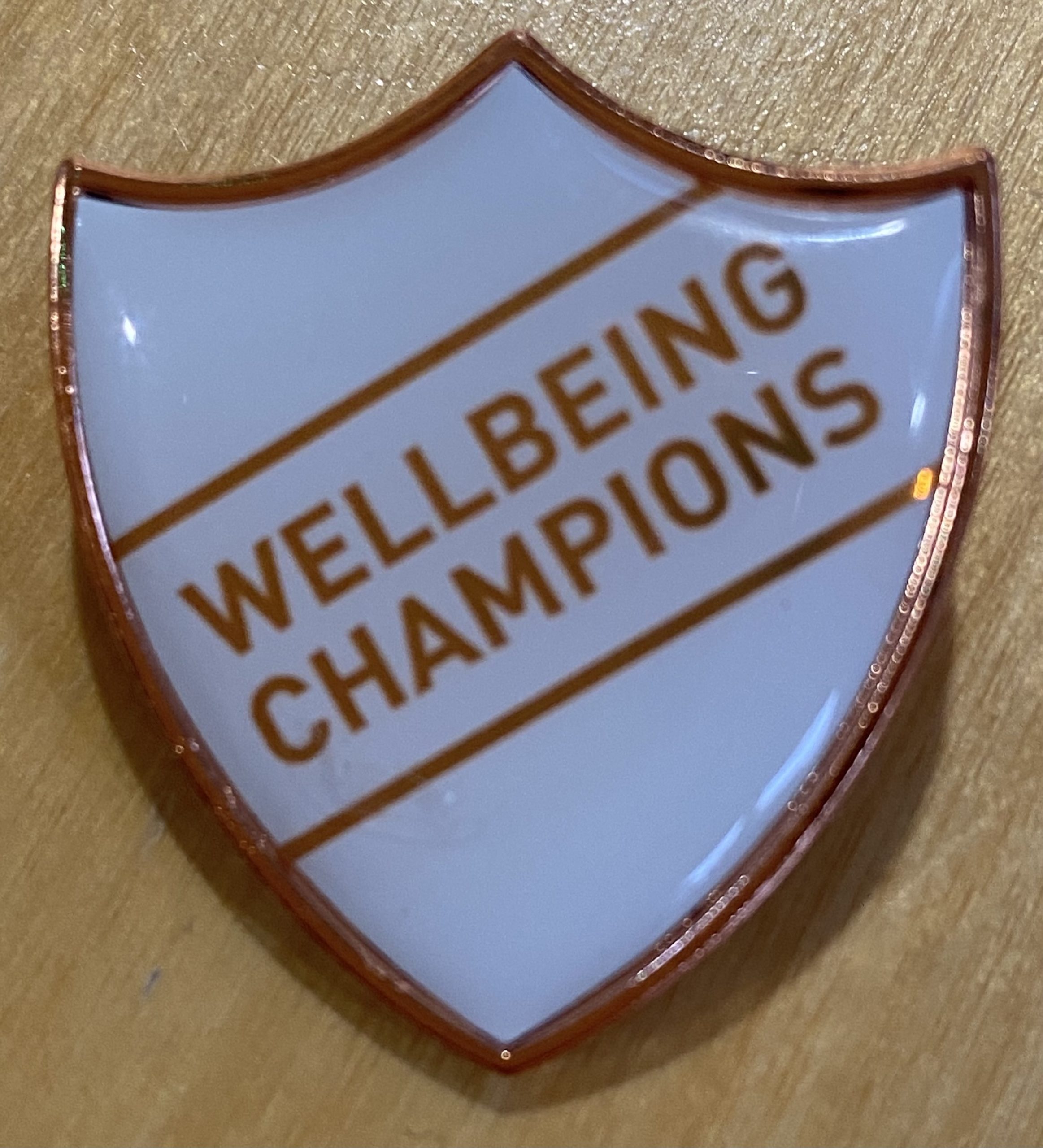 well being badge – Holly Park Primary School