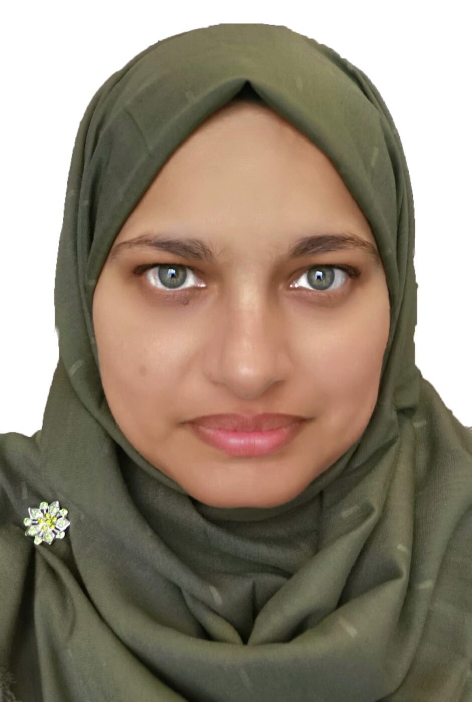 Diversity – Holly Park Primary School